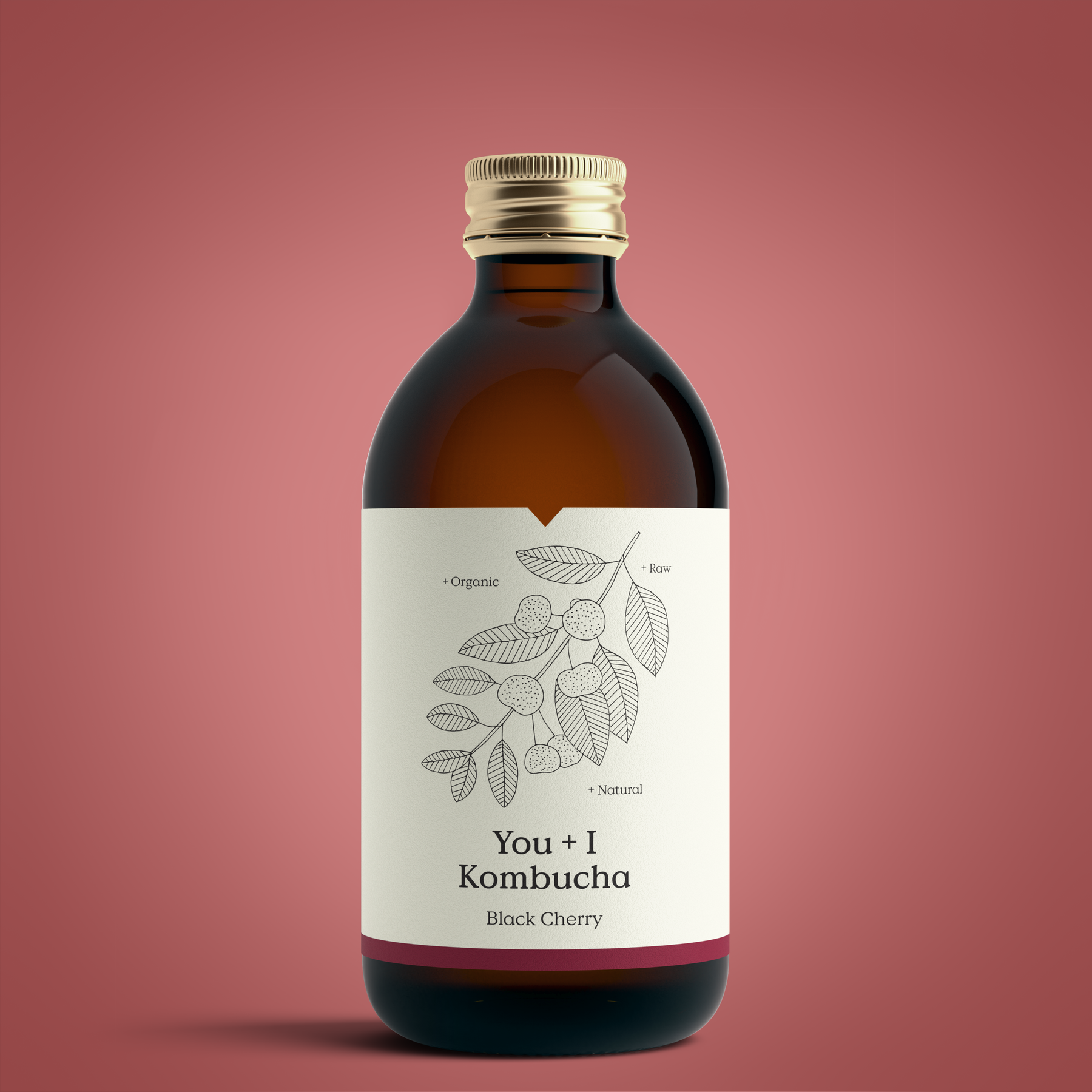 Black Cherry Kombucha – Quince & Cook