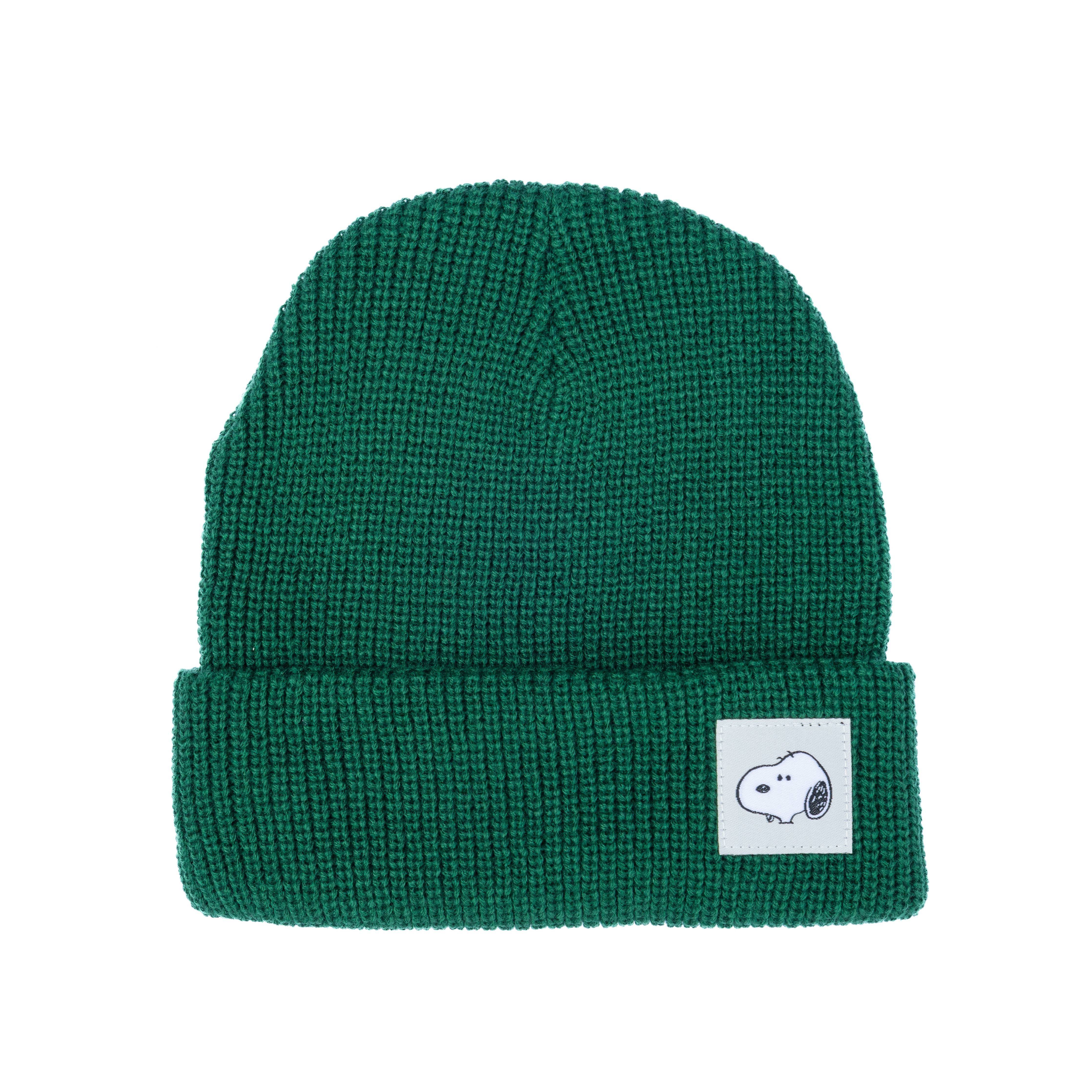Peanuts® - Snoopy Beanie in Green | Hats & Clothing | Quince & Cook