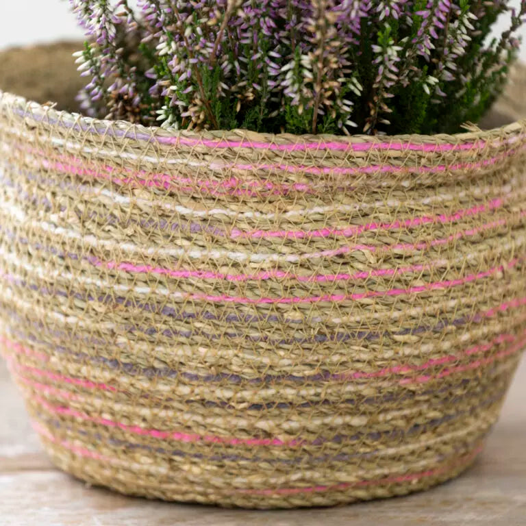 Seagrass Basket Planter Shallow Frill Edge | Indoor Plants | Quince & Cook